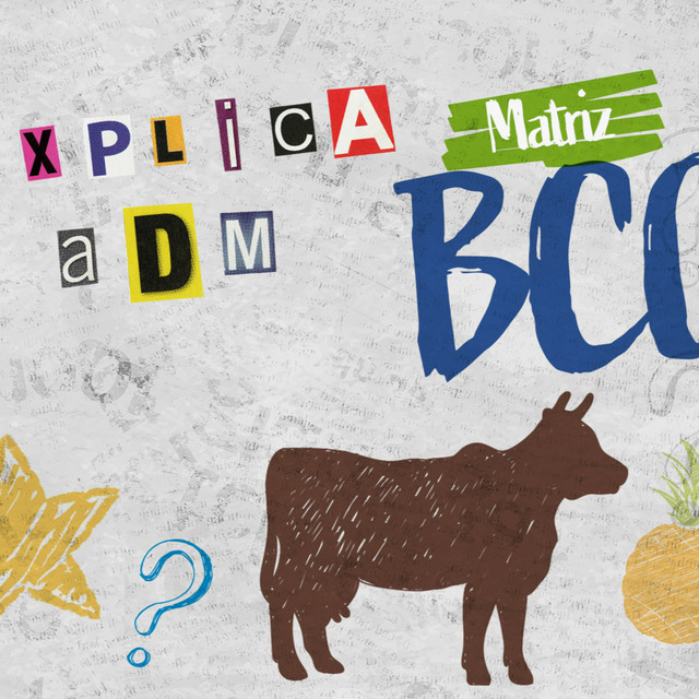 O que é BCG? | EXPLICA ADM #2 - Adm in Cast | Podcast on Spotify