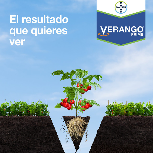 Conoce más sobre Verango® Prime - BAYER | Podcast on Spotify