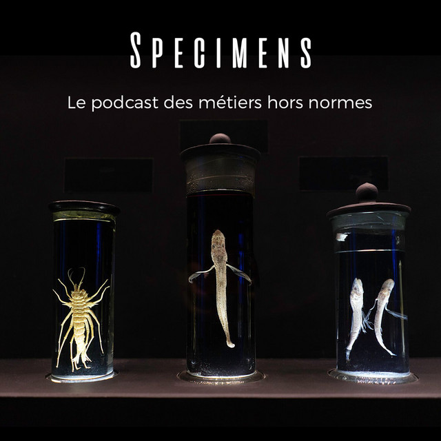 SPÉCIMENS | Podcast on Spotify