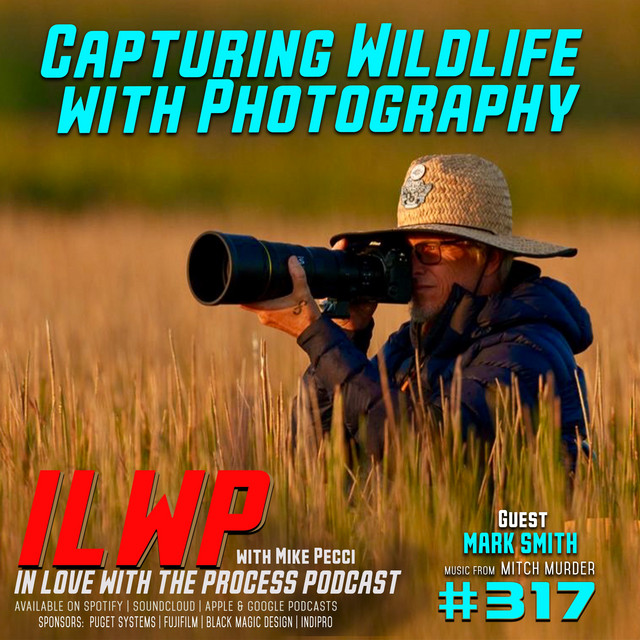 EP 317 | Capturing Wildlife with Photography (w/ Mark Smith) - In Love ...