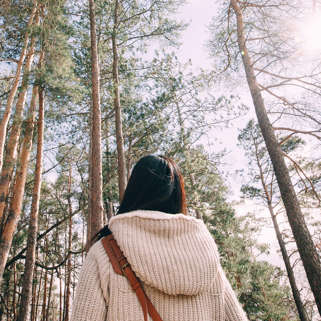 Spending time in a forest can boost health and lower stress. Here's how ...