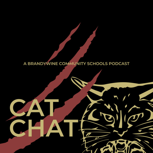 Cat Chat | Podcast on Spotify
