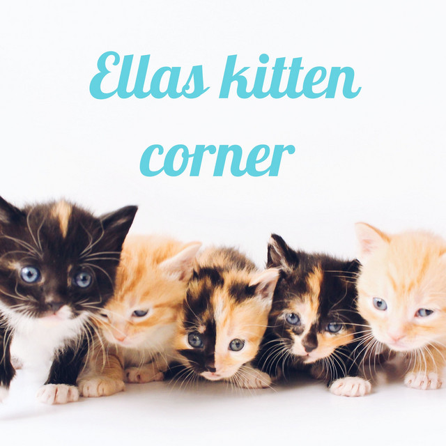 Ella’s kitten corner | Podcast on Spotify