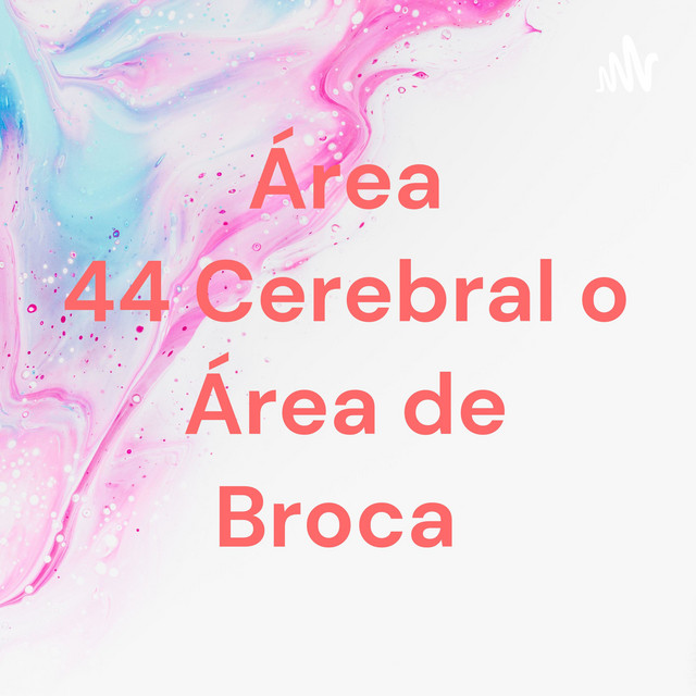 Área 44 Cerebral o Área de Broca | Podcast on Spotify