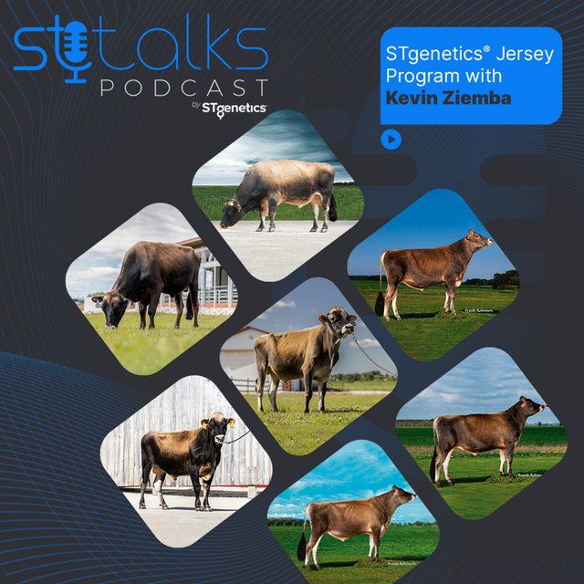 STtalks #74 - STgenetics® Jersey Program with Kevin Ziemba - STtalks ...