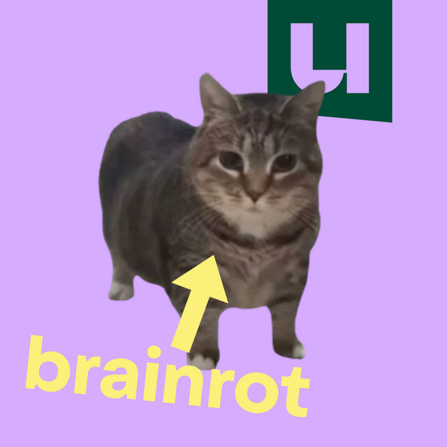 Gaat je brein echt rotten van brainrot?