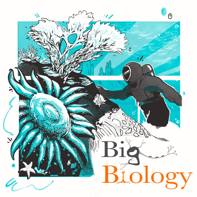Not all heroes have spines (Ep 135) - Big Biology | Podcast on Spotify