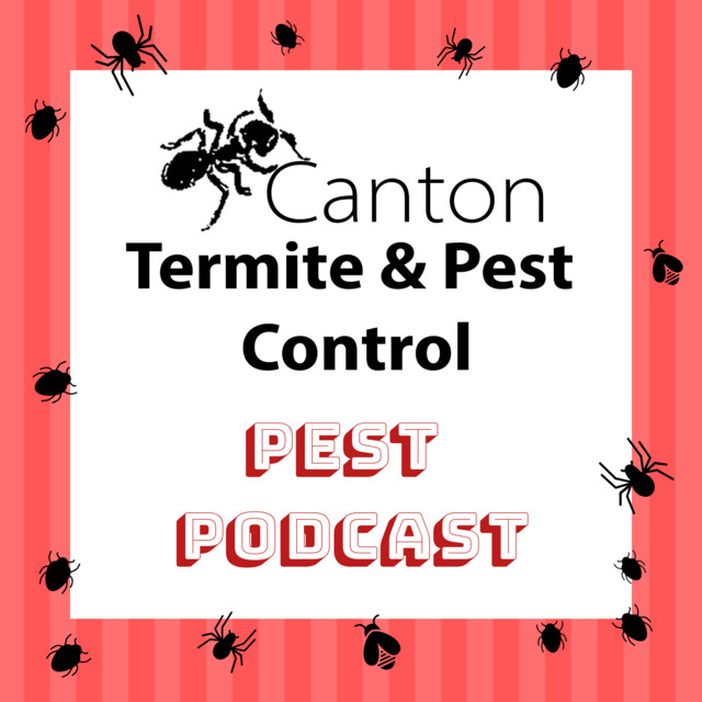Termidor HP2-Future of Termite Control- Canton Termite & Pest Control ...