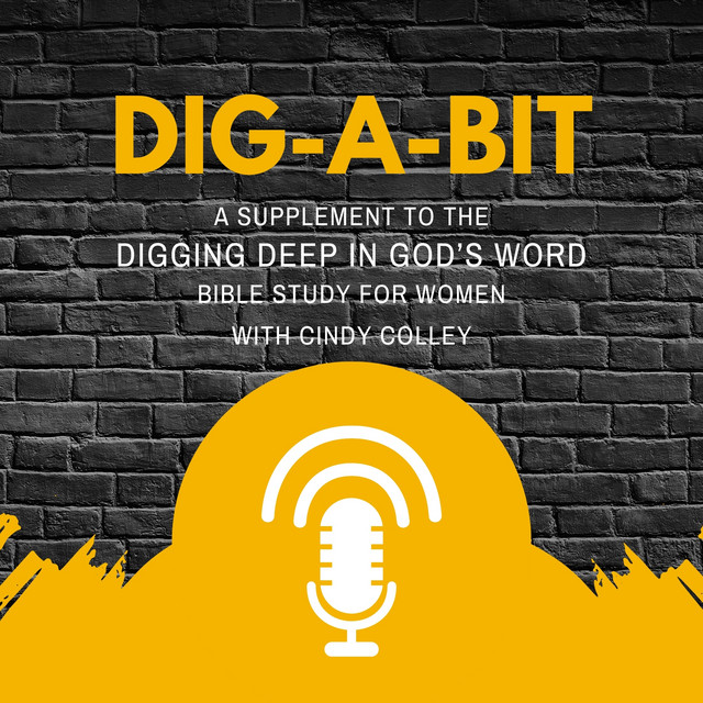 Dig-a-Bit Podcast | Podcast on Spotify