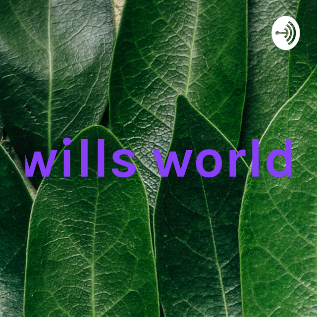 wills world | Podcast on Spotify