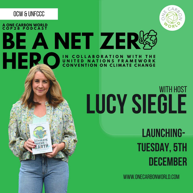 Be A Net Zero Hero | Podcast on Spotify