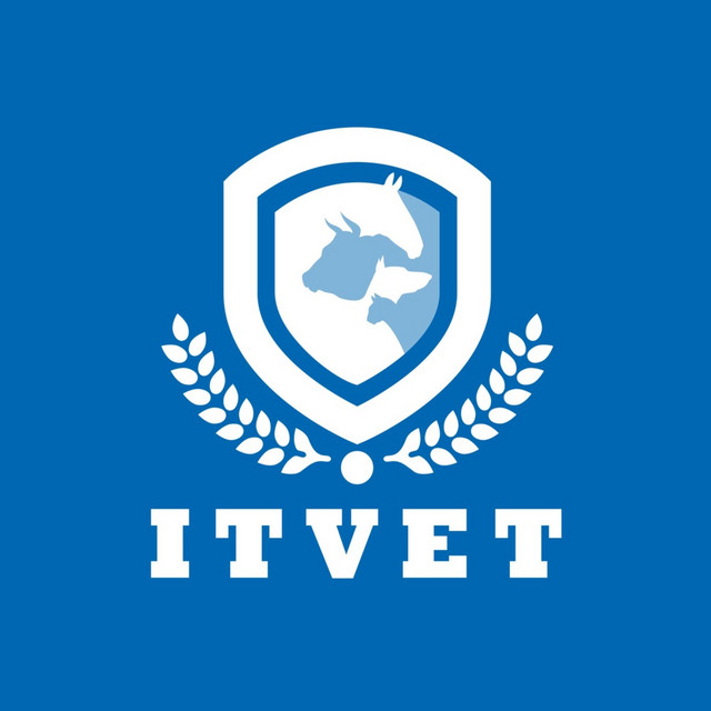 O ITVET na prática! | Podcast on Spotify