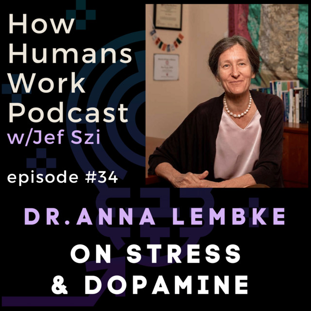 #34: Dr. Anna Lembke - On Stress and Dopamine - How Humans Work Podcast ...