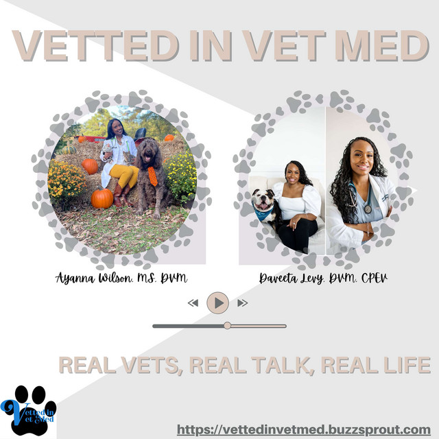 Vetted In Vet Med | Podcast on Spotify