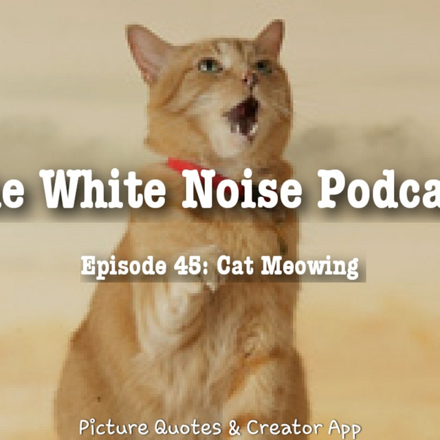 WNP-04X45: Cats Meowing | ASMR RELAX MEDITATE SLEEP - The White Noise ...