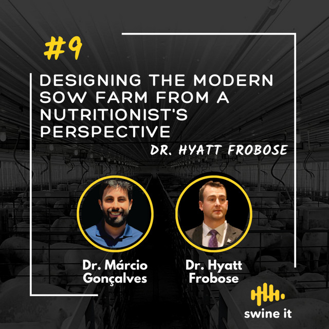 Designing the modern sow farm from a nutritionist's perspective - Dr ...