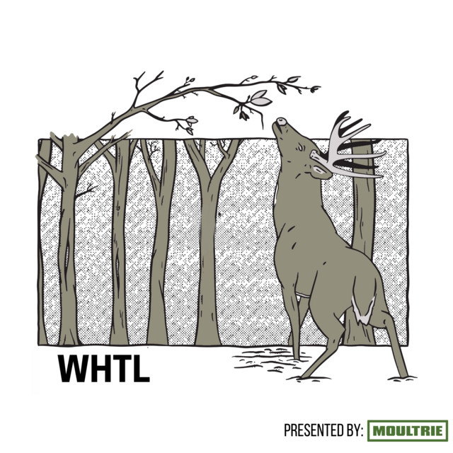 #66 - Hunting and Killing PA Big Wood Bucks with Steve Sherk - The WHTL ...