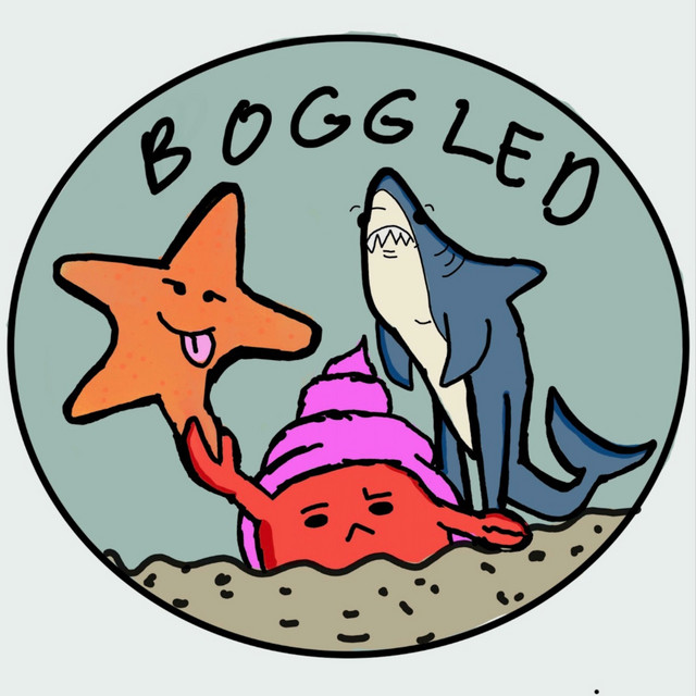 Boggled | Podcast on Spotify