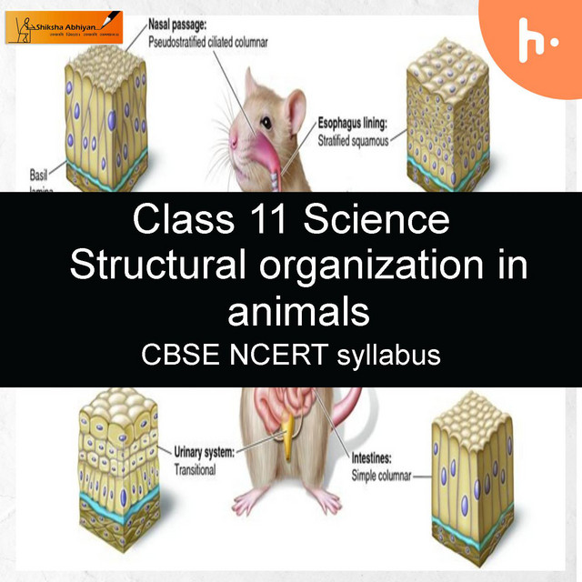 Theory part 1 | CBSE | Class 11 | Biology | Structural Organization in ...