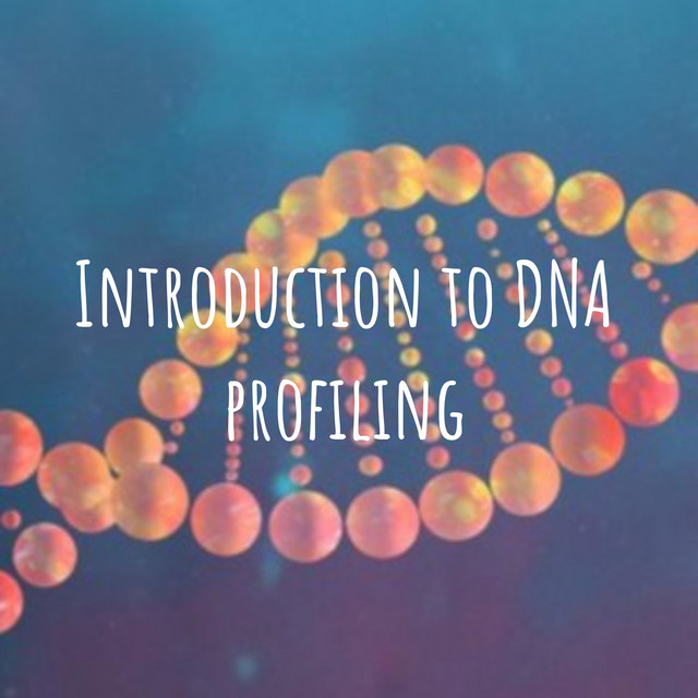 Spotify Dna Gen