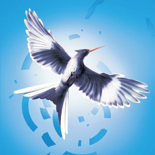 Mockingjay (Part 2) - Books | Podcast on Spotify