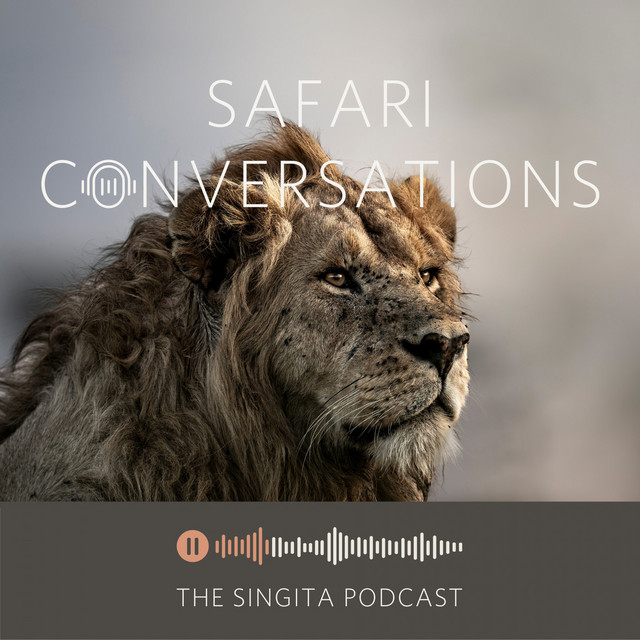 Saving a Species: Lions - The EWT’s mission to Protect the Pride of ...