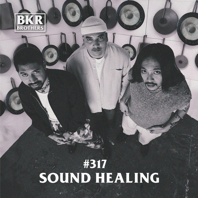 #317 Sound Healing - BKR Brothers | Podcast on Spotify