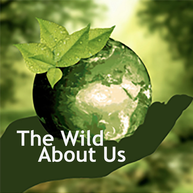 The Wild About Us | Podcast on Spotify