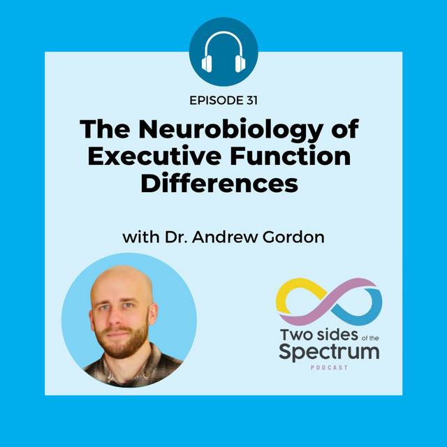 The Neurobiology of Executive Function Differences with Dr. Andrew ...