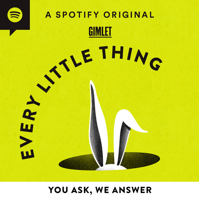 Every Little Thing | Podcast on Spotify