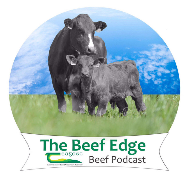 The Beef Edge | Podcast on Spotify