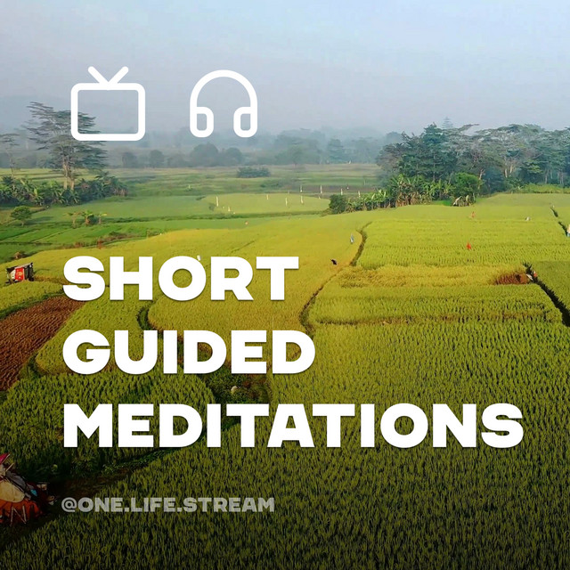 Short Guided Meditations | Podcast on Spotify