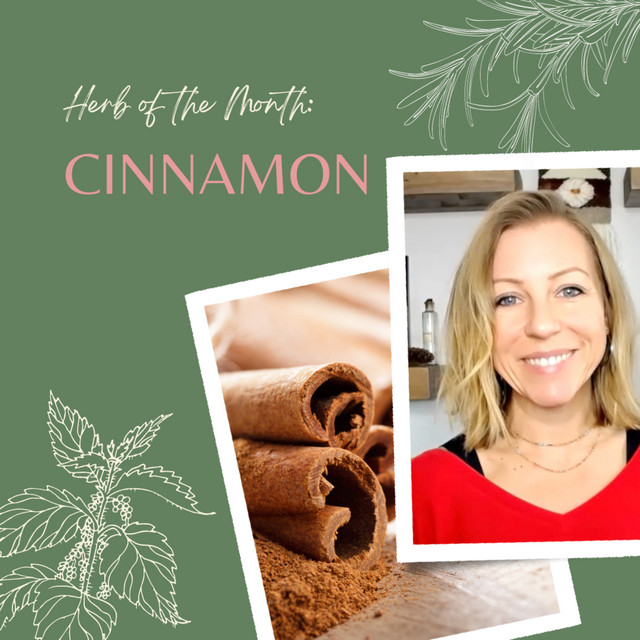 Herb of the Month: Cinnamon - Sky House Herbs | Podcast on Spotify