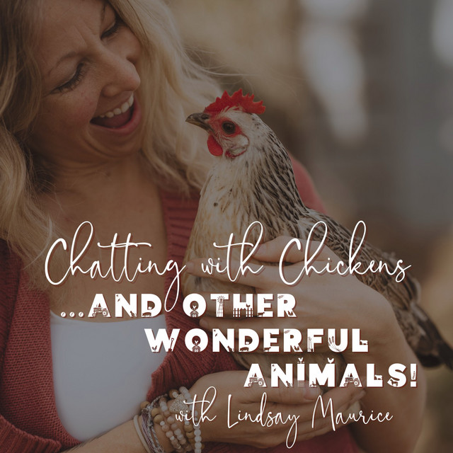 Chatting with Chickens and Other Wonderful Animals | Podcast on Spotify