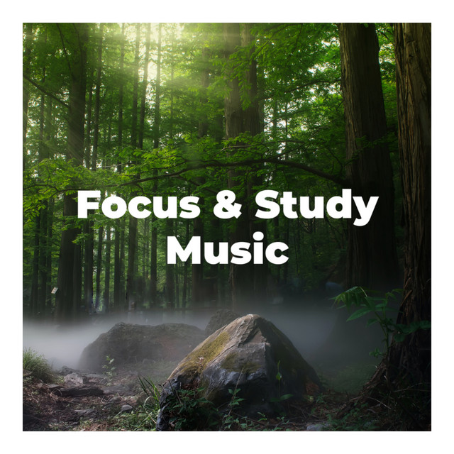 Memory, concentration and work effective music | FOR SUPPORTERS - Focus ...