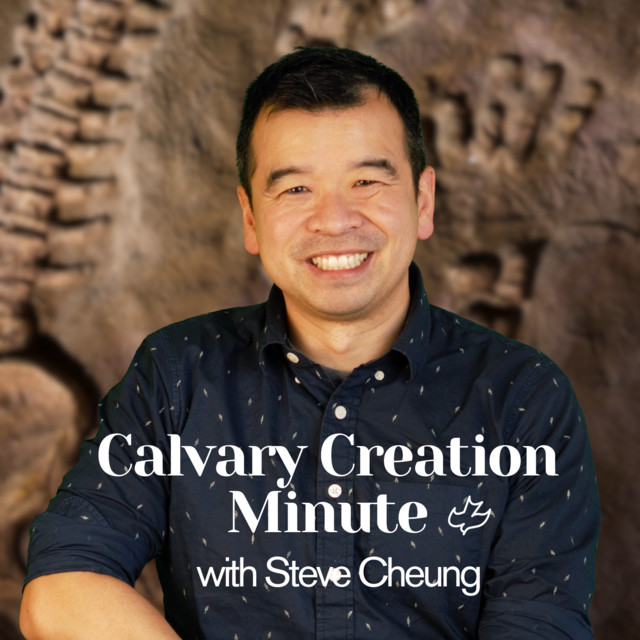 Calvary Creation Minute | Podcast on Spotify