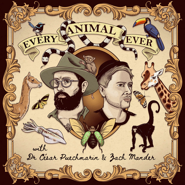 Every Animal Ever | Podcast on Spotify