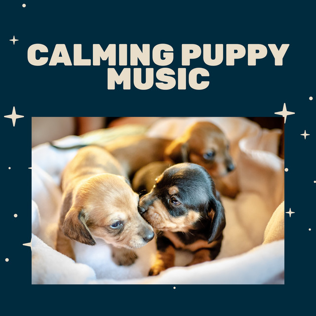Calming Puppy Music (9 Hours) Relaxation Aid for Dogs and Puppies ...