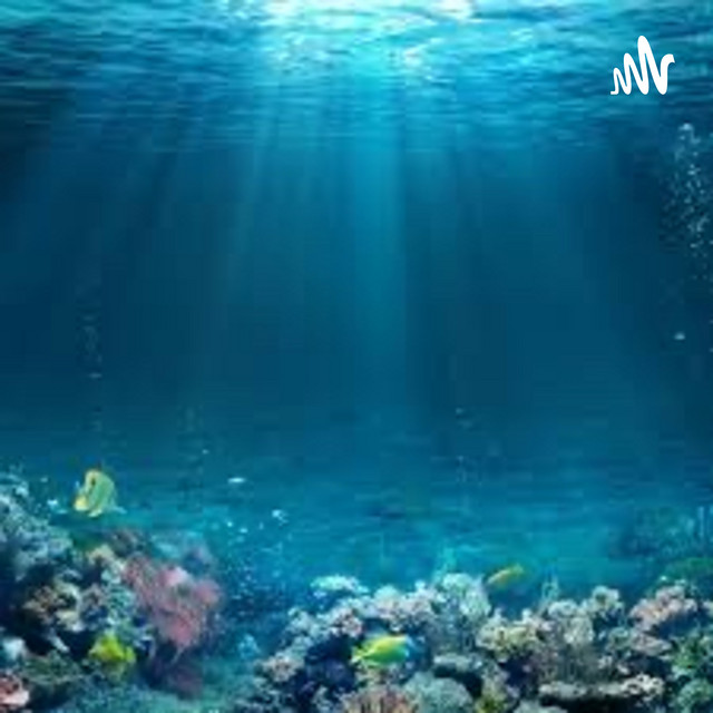 7 stages of grief and how they relate to finding Cleo’s podcast ...