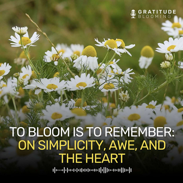 To Bloom Is to Remember - Gratitude Blooming