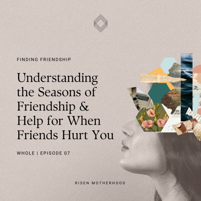 Whole 07: Understanding the Seasons of Friendship & Help for When ...