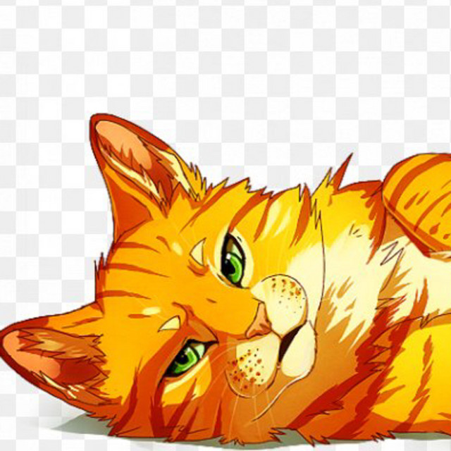 A Cat Chat | Podcast on Spotify
