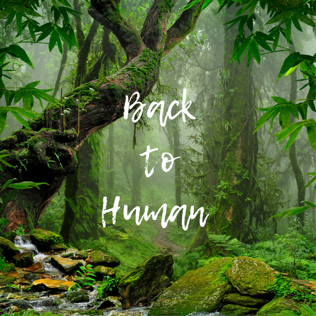 Back to Human | Podcast on Spotify