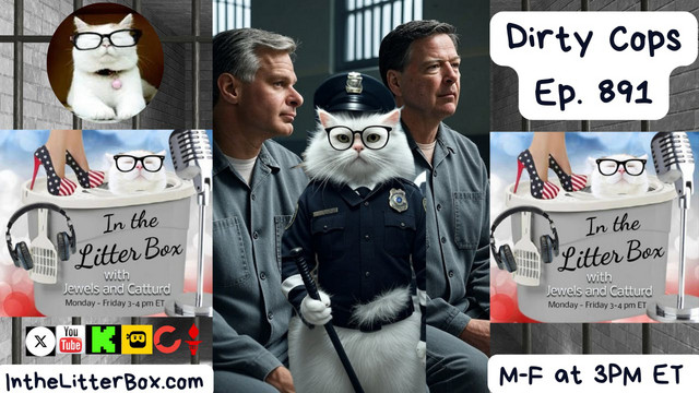 Dirty Cops | In the Litter Box w/ Jewels & Catturd – Ep. 891 - 9/29 ...