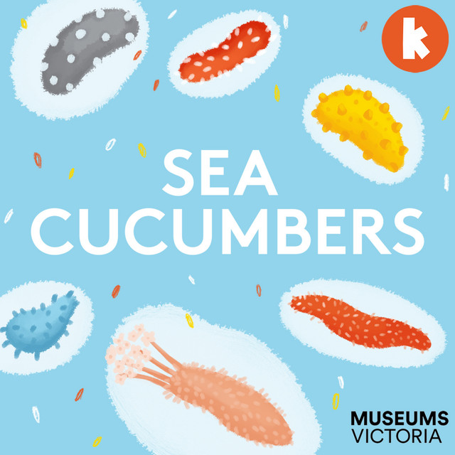 Sea Cucumbers - The Fact Detectives | Podcast on Spotify