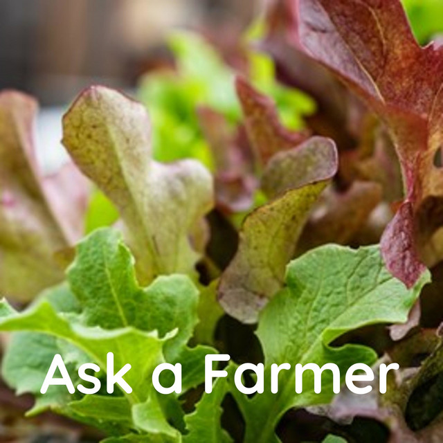 Ask a Farmer - Gardening Q & A | Podcast on Spotify