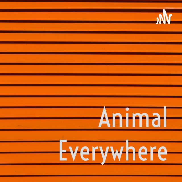 Animal Everywhere | Podcast on Spotify