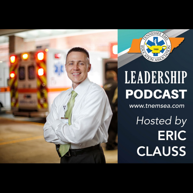 TEMSEA Leadership Podcast | Podcast on Spotify