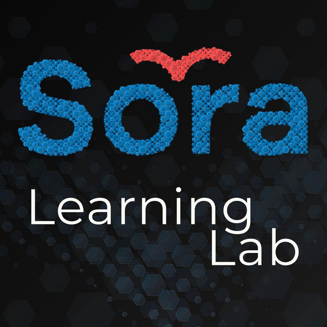 Sora Learning Lab | Podcast on Spotify
