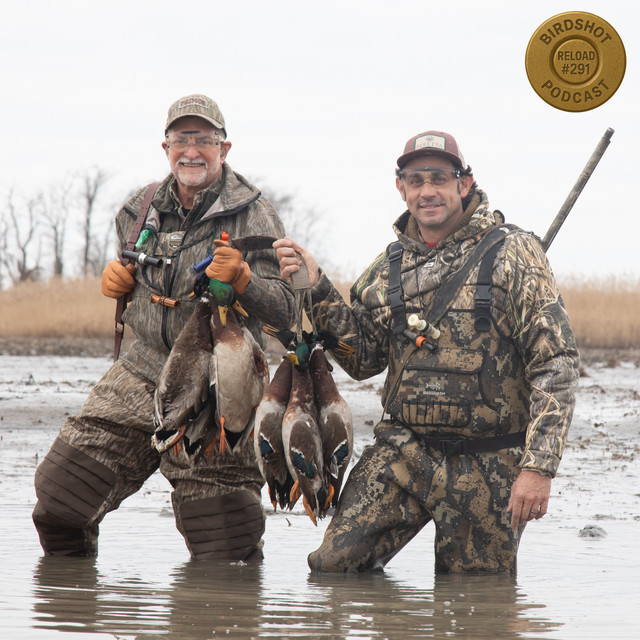 Reload #291 | The Straight Shooting Guide for Bird Hunters to Improve ...